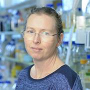 Christine Hawkins | About | La Trobe University